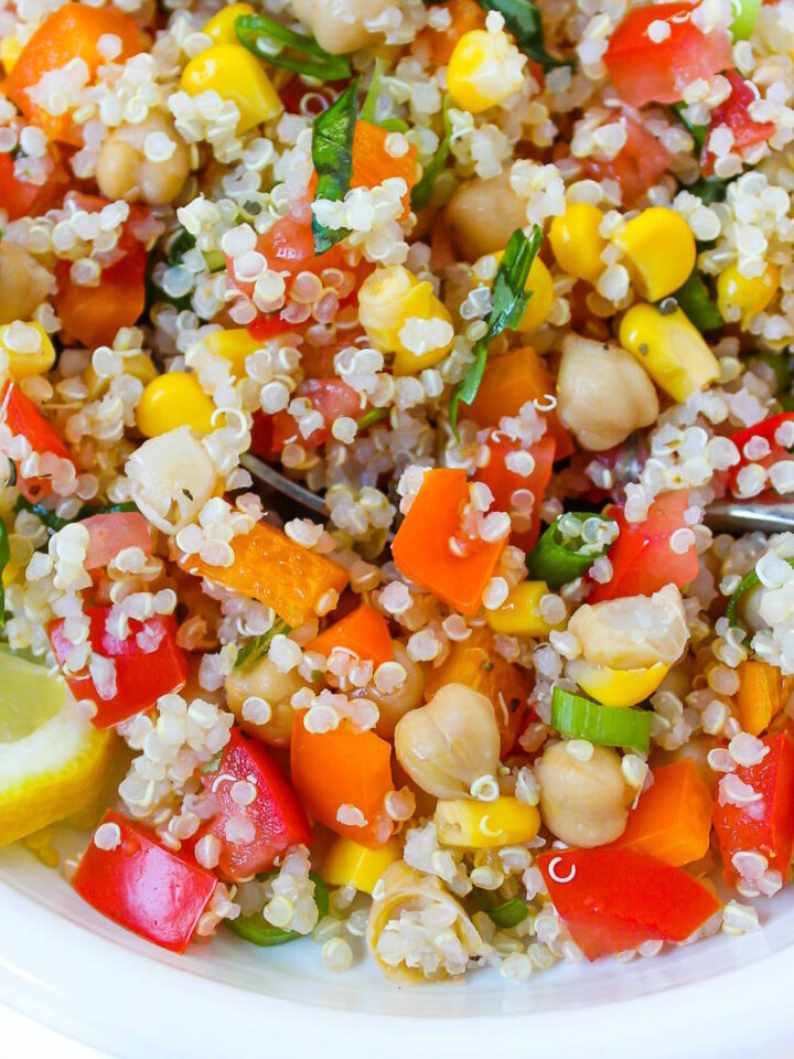 20+ Vegan Quinoa Recipes (Easy + Healthy!) - The Garden Grazer