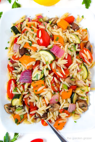 Orzo with Roasted Vegetables (Easy!) - The Garden Grazer