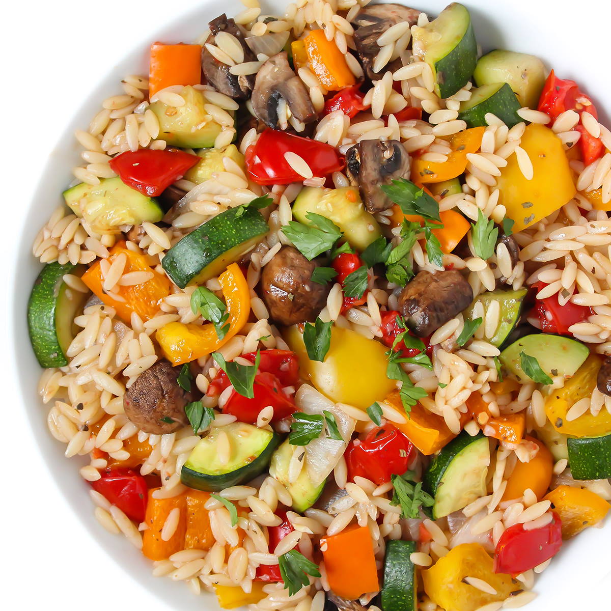 Roasted Vegetable Orzo with Garlic-Balsamic - The Garden Grazer
