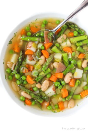 Spring Minestrone Soup (Vegan!) - The Garden Grazer