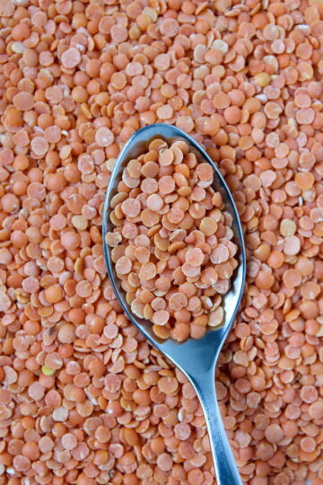 Red Lentil and Sweet Potato Stew - The Garden Grazer