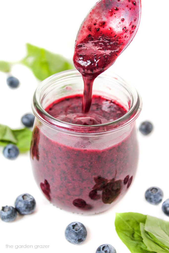 Blueberry Salad Dressing (Oil-Free!) - The Garden Grazer