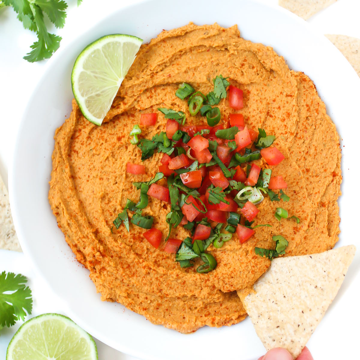 Chipotle Taco Hummus - The Garden Grazer