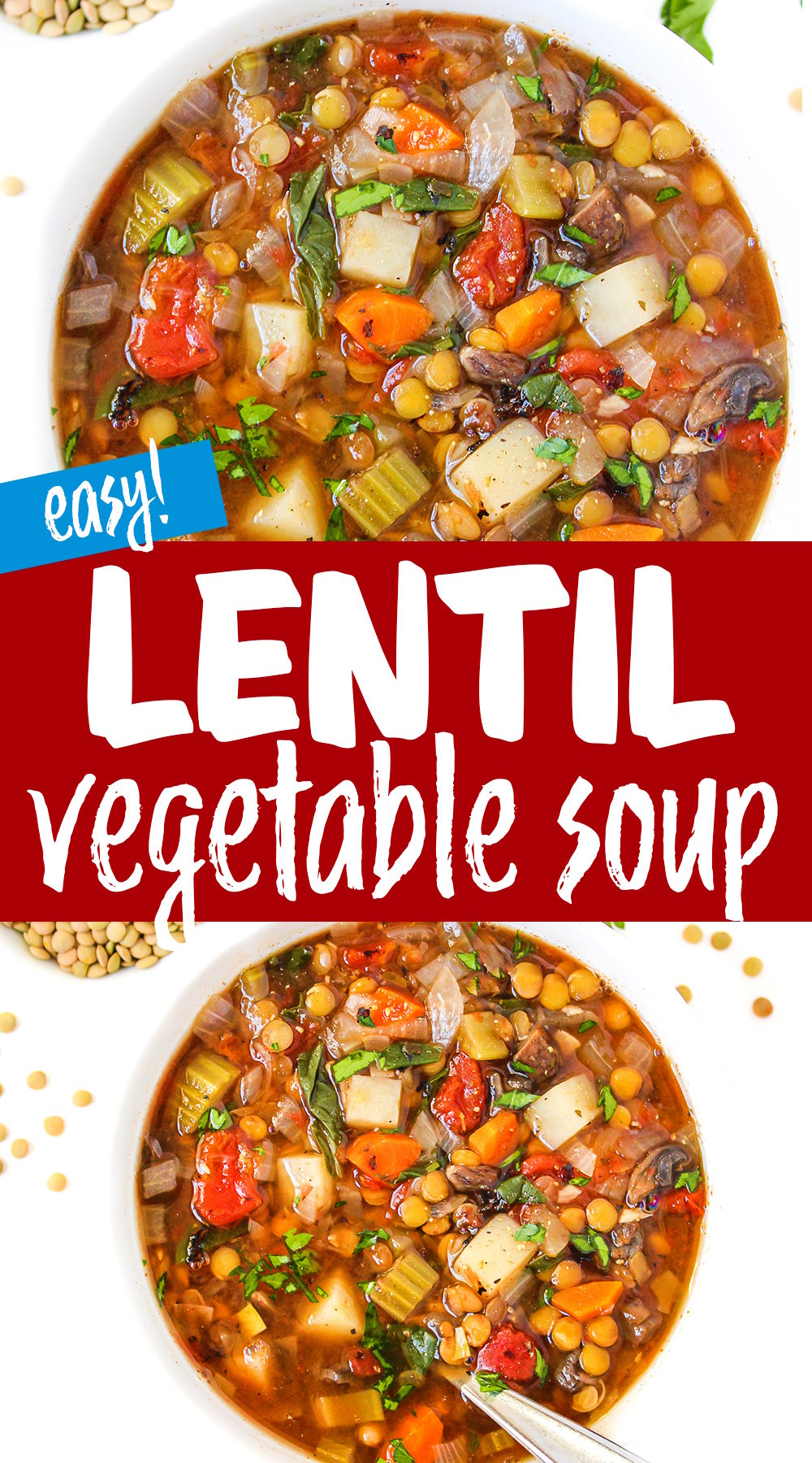 Lentil Vegetable Soup Easy The Garden Grazer