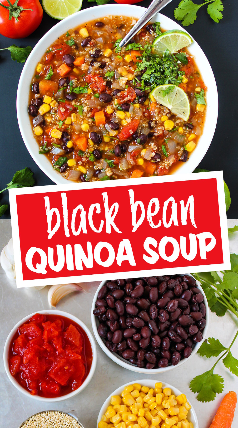 Black Bean Quinoa Soup (Easy!) - The Garden Grazer
